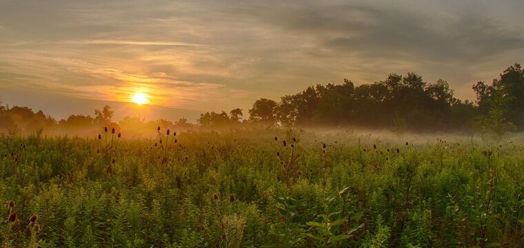 Cincinnati Nature Center