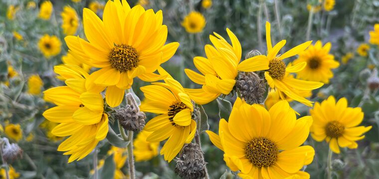 Cincinnati Nature Center